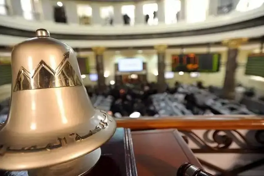 منها 4 شركات تابعة للجيش.. خريطة الطروحات بالبورصة خلال 2025 - NNI مصر