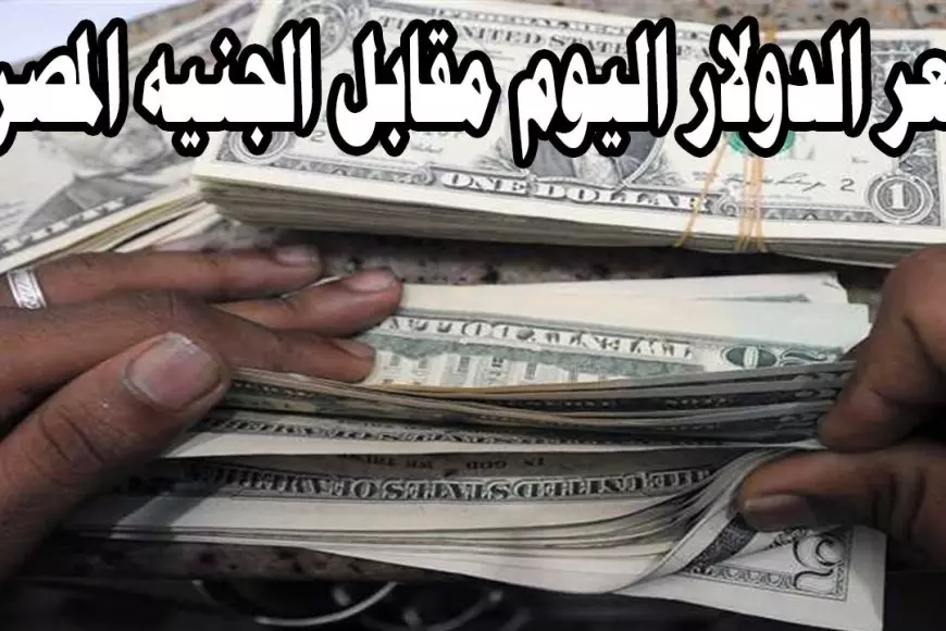 أعلى سعر للدولار اليوم في السوق السوداء والبنوك الجمعة 24 يناير 2025