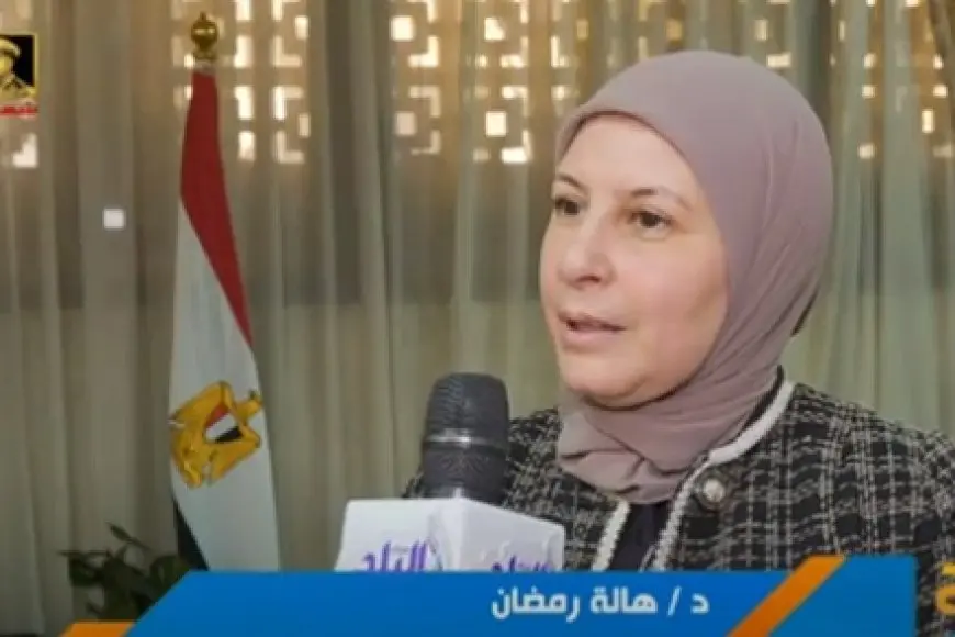 إيجابيات وسلبيات إعلانات شهر رمضان 2025 - NNI مصر