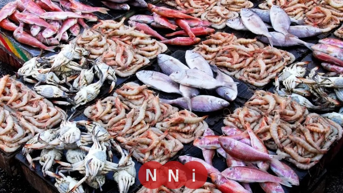 أسعار السمك اليوم الجمعة 29 أغسطس 2025 - NNI مصر